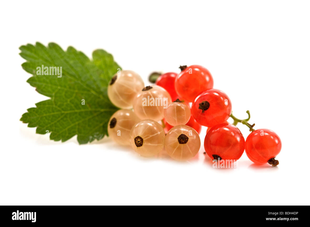 White color and red Cut Out Stock Images & Pictures - Alamy