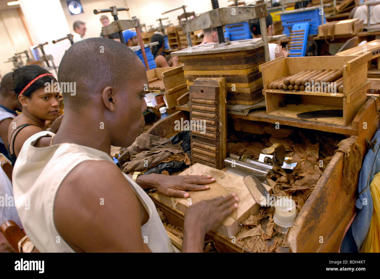 Handmade cigar production. Upmann Cigars. Havana, Cuba Stock Photo - Alamy