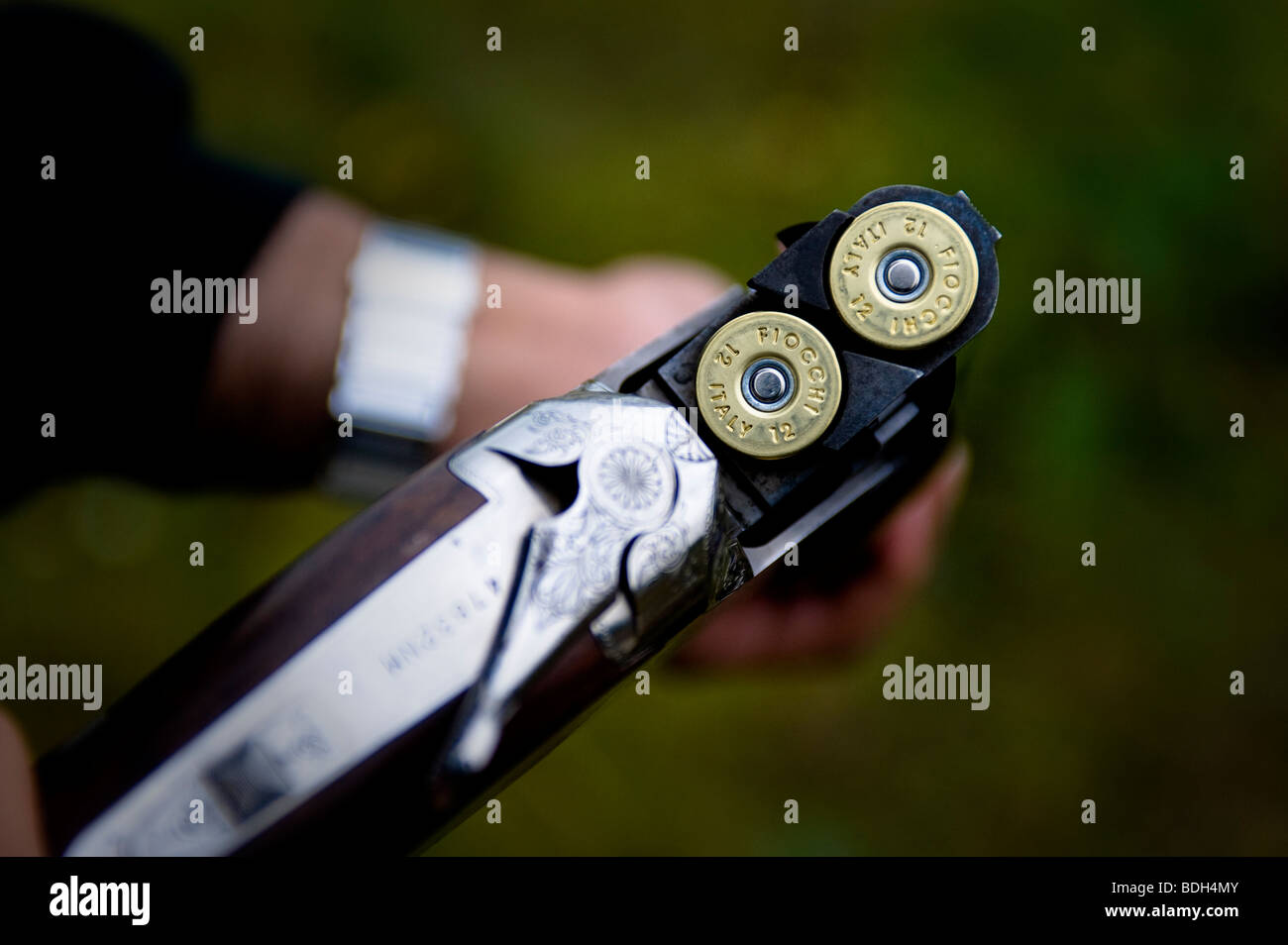 Loaded, Broken Shotgun Stock Photo - Alamy