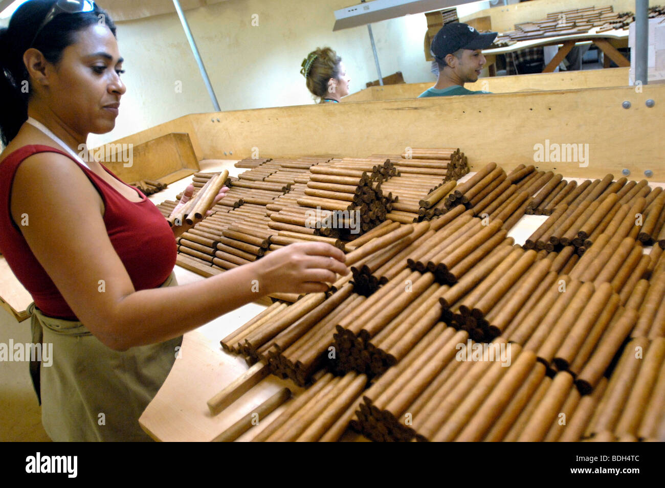 Handmade cigar production. Upmann Cigars. Havana, Cuba Stock Photo - Alamy