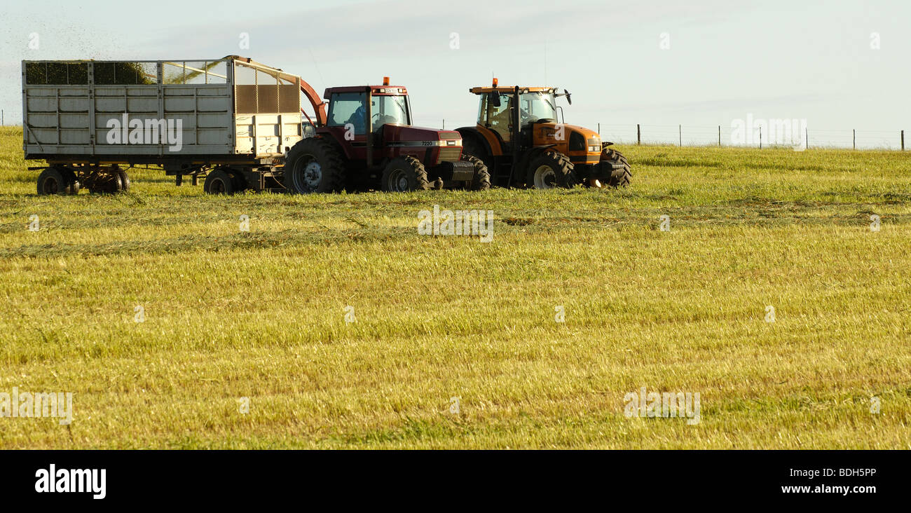 South african crops hi-res stock photography and images - Alamy
