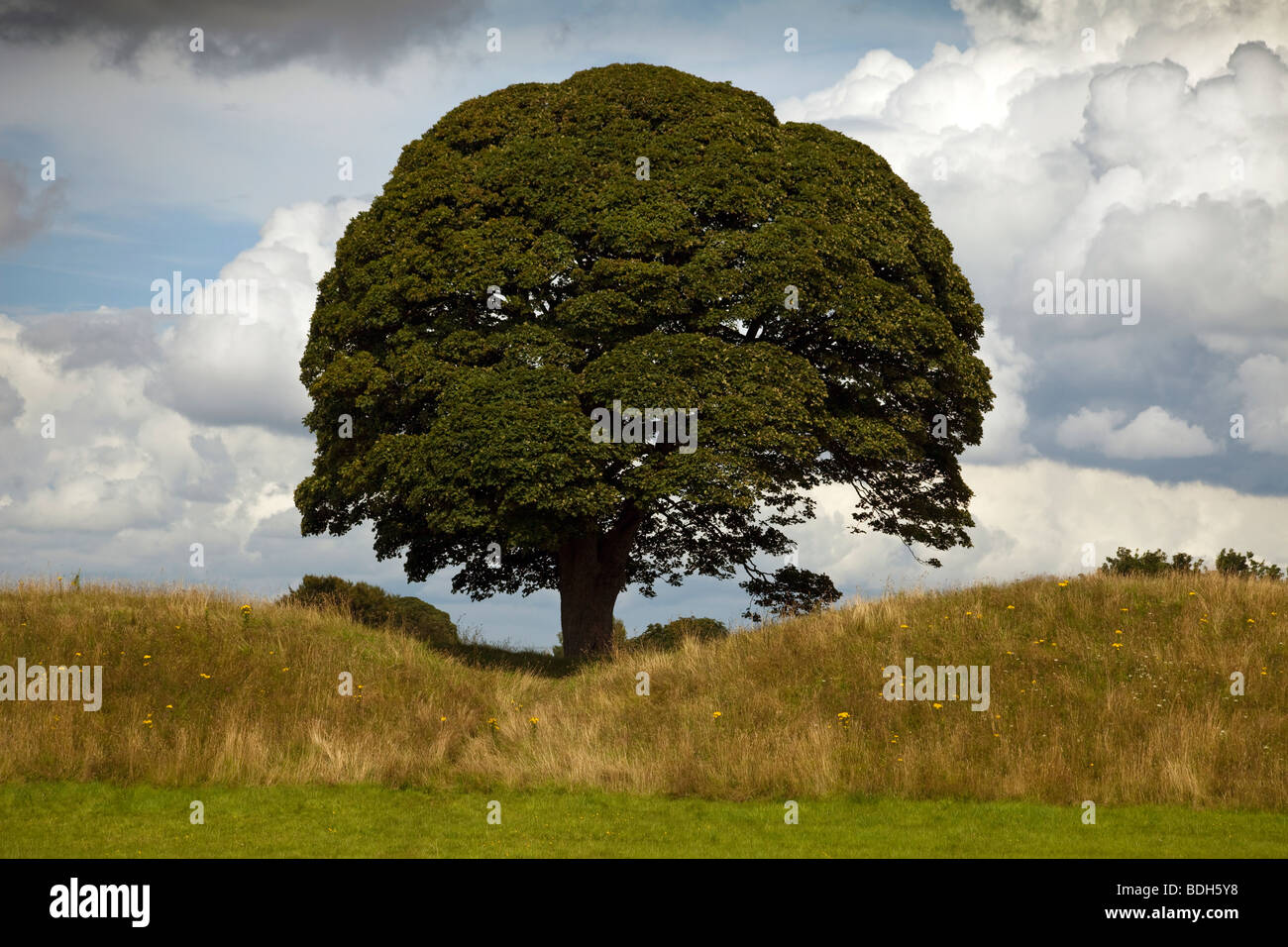 Prehistoric earthwork hi-res stock photography and images - Alamy