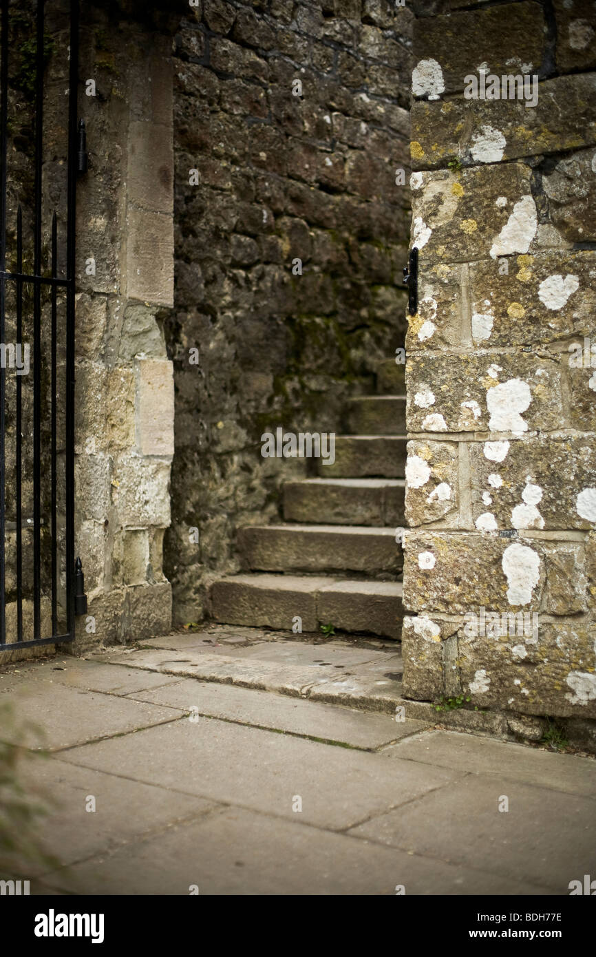 History steps hi-res stock photography and images - Alamy