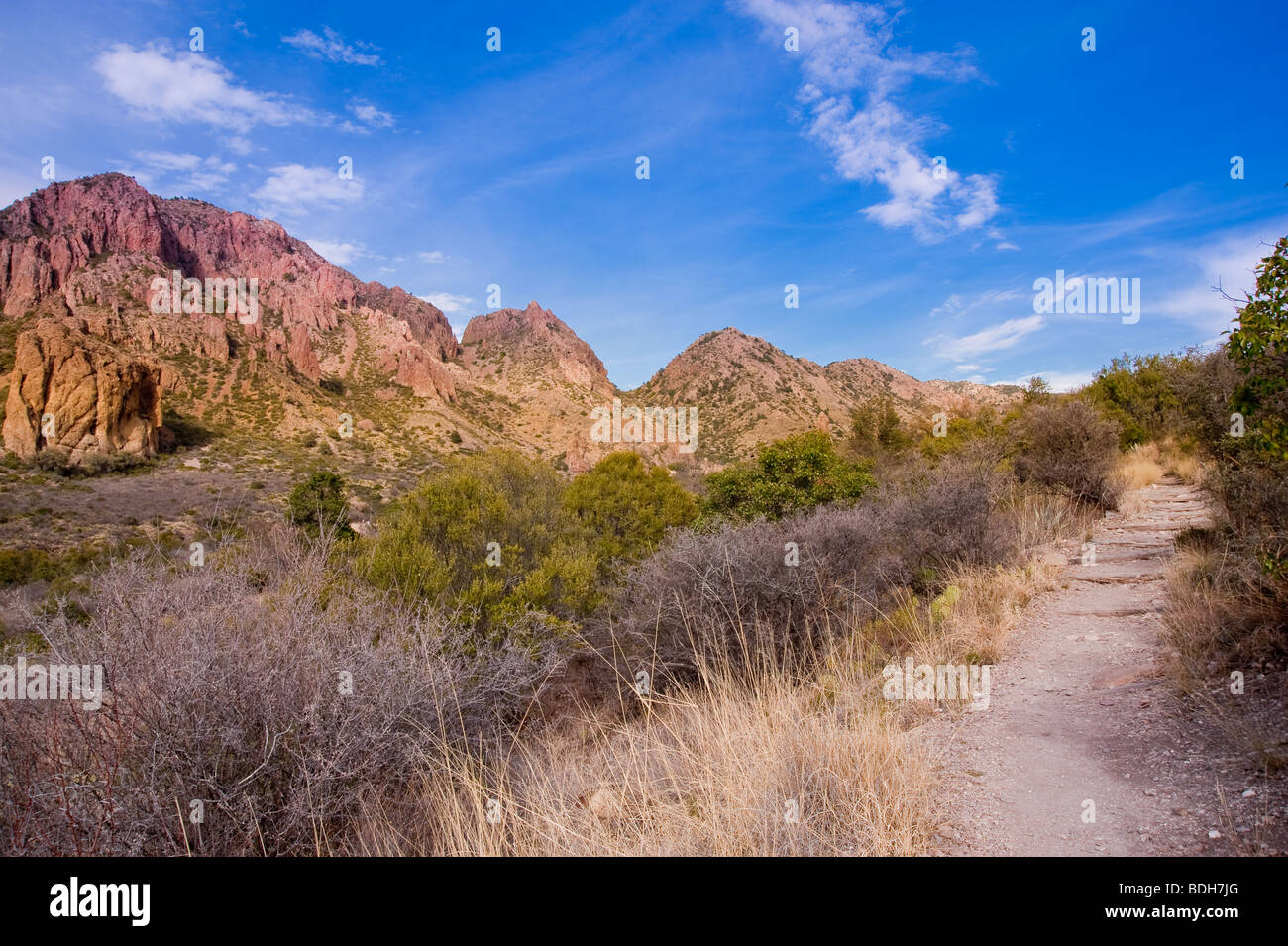The windows Trail at Big Bend National Park in Southwest Texas Stock ...