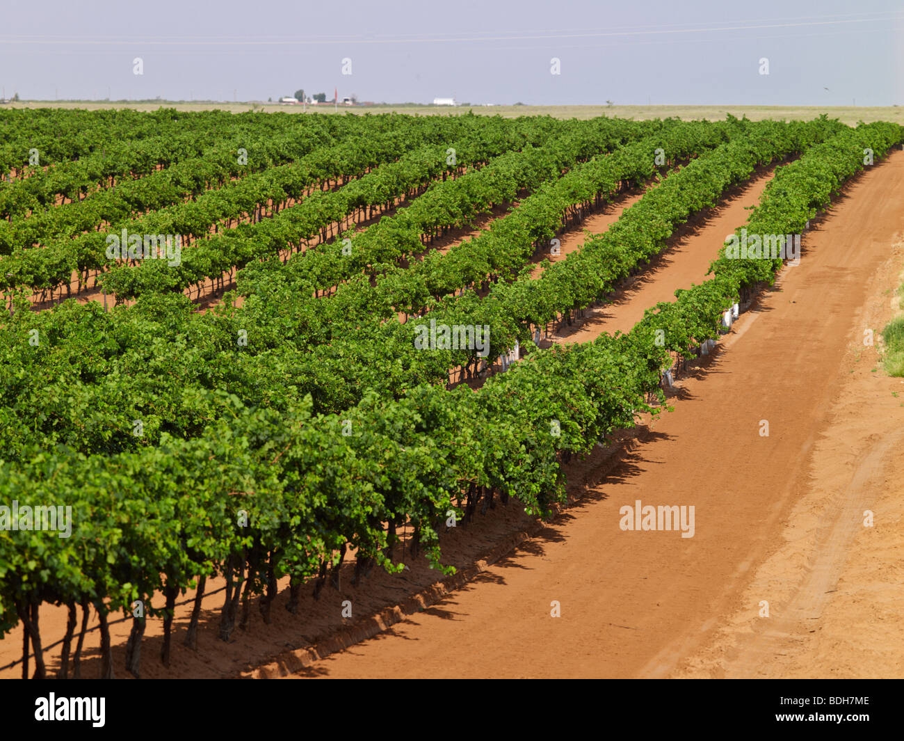 Yoakum hi-res stock photography and images - Alamy