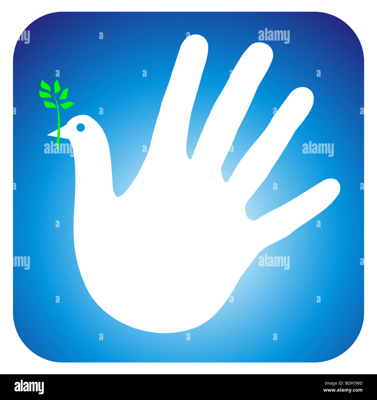White dove hand hi-res stock photography and images - Alamy