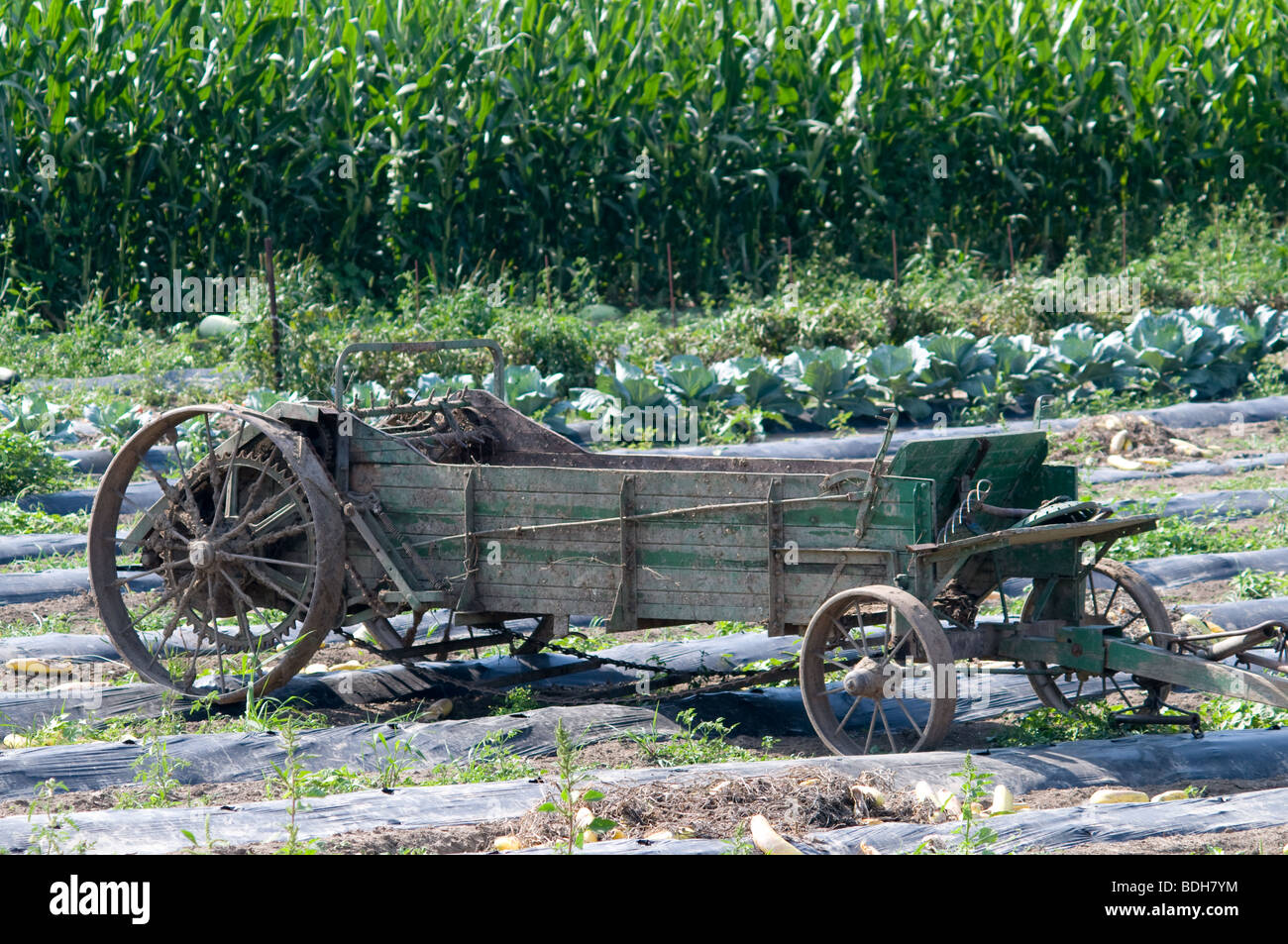 Spreader hi-res stock photography and images - Alamy