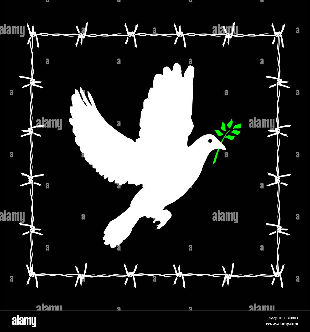 Dove of peace framed in a barbed wire. Vector available Stock Photo - Alamy
