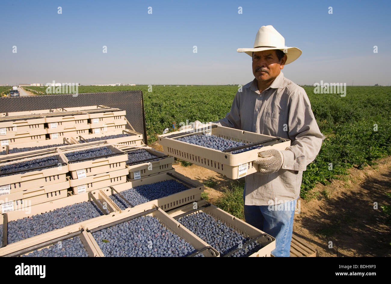 Transporting fruits truck hi-res stock photography and images - Alamy
