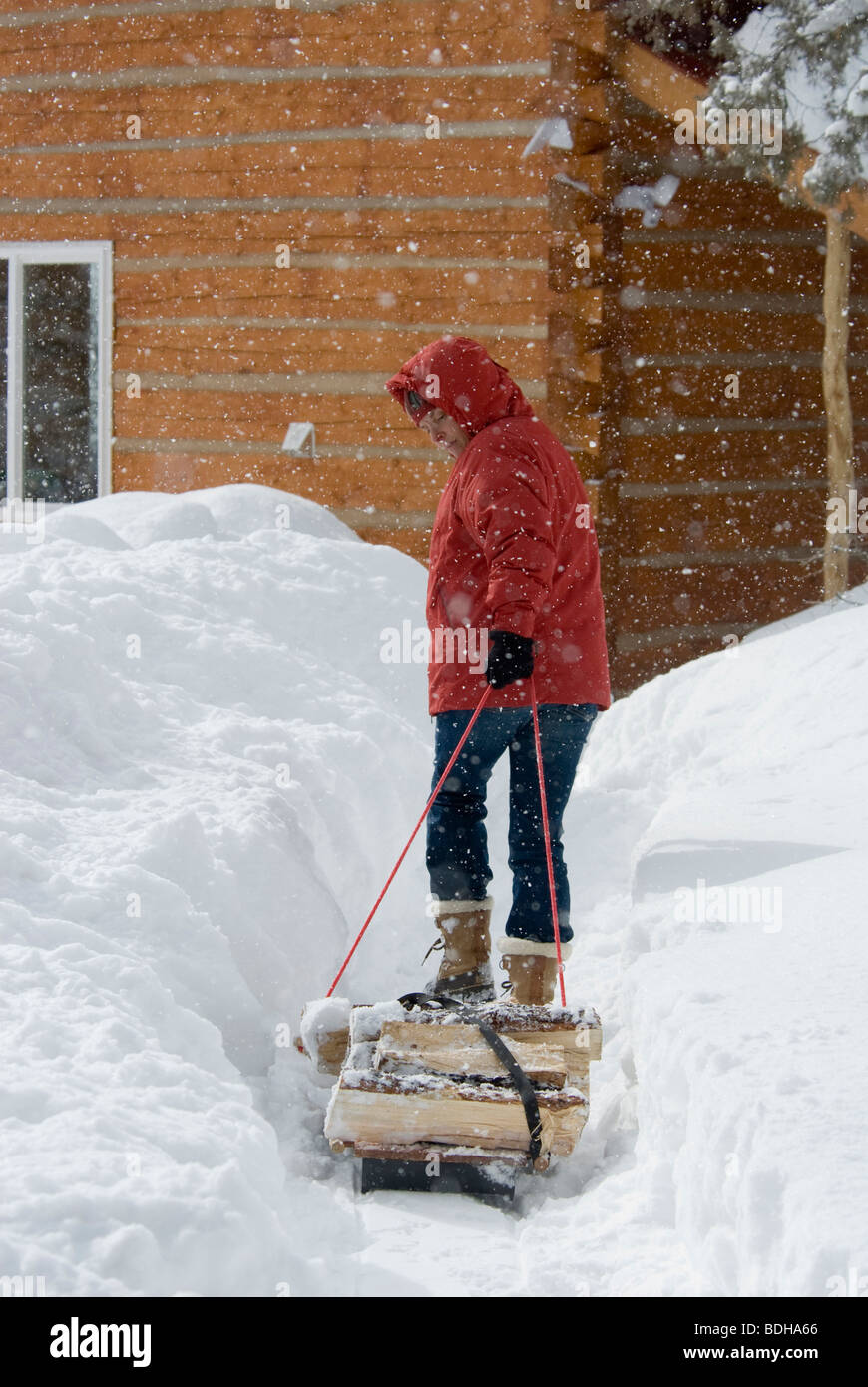 A woman pulling a sled loaded with firewood to log cabin in Durango ...