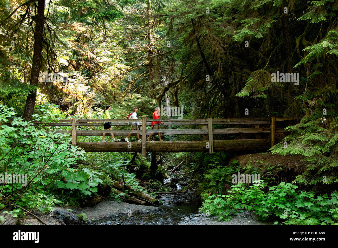 Angeles national forest bridge hi-res stock photography and images - Alamy