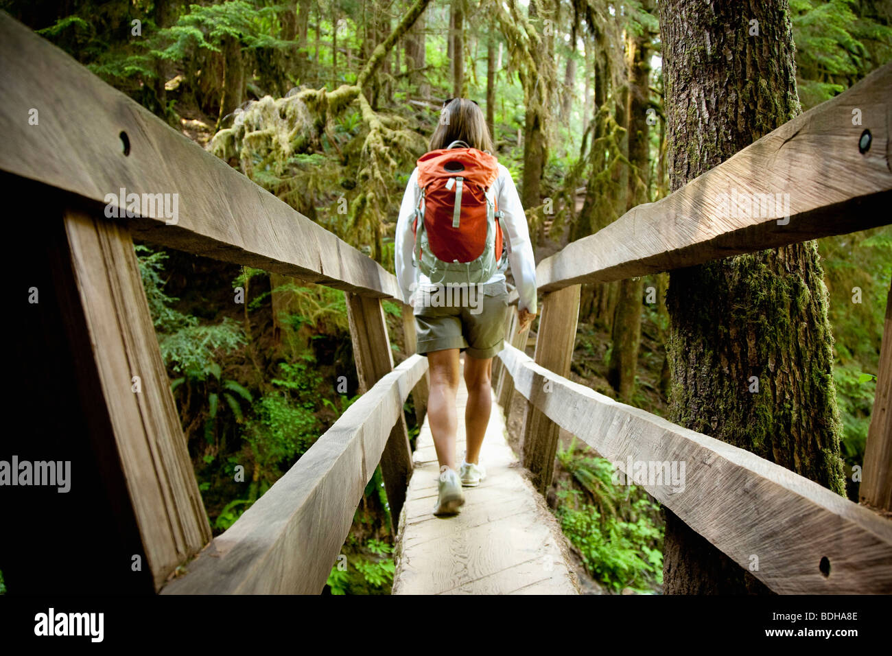 Angeles national forest bridge hi-res stock photography and images - Alamy