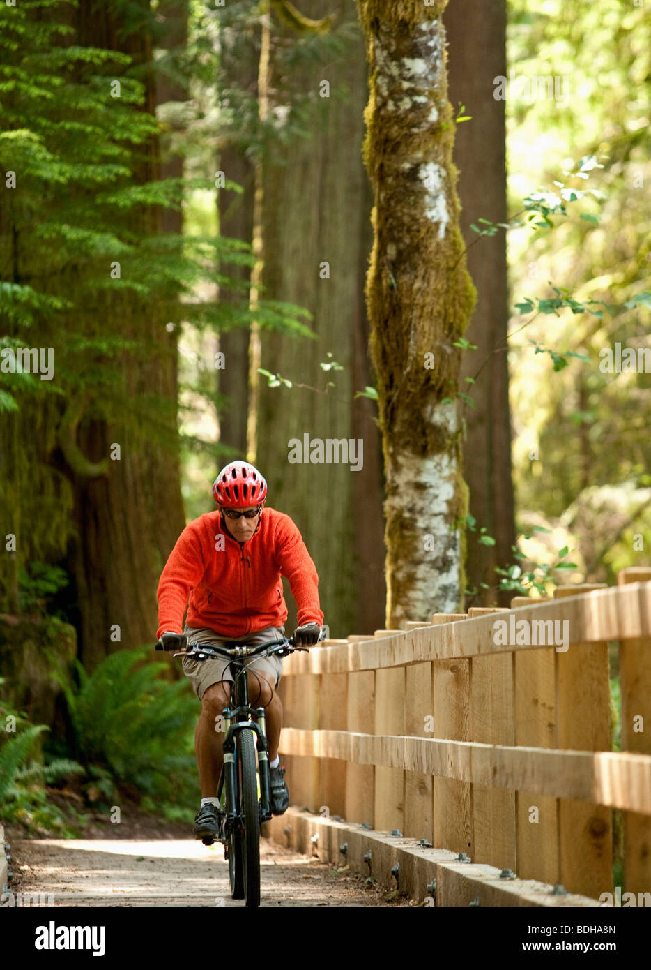 Single bridge in nature hi-res stock photography and images - Alamy