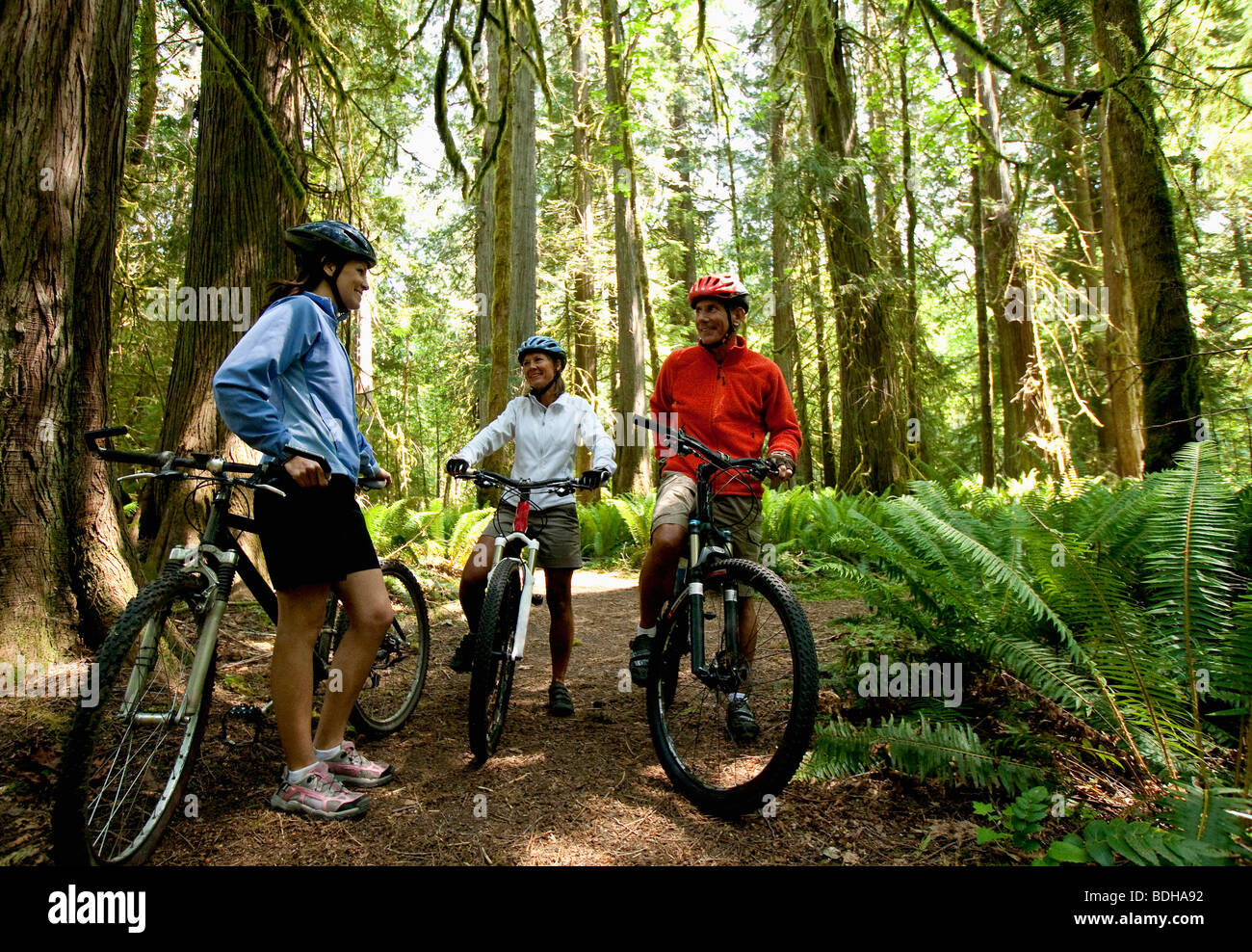 A group of three mountain bikes stop for a break while riding through a ...