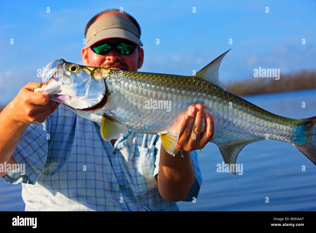 A fly fisherman with a small tarpon that caught with a fly rod on Great ...