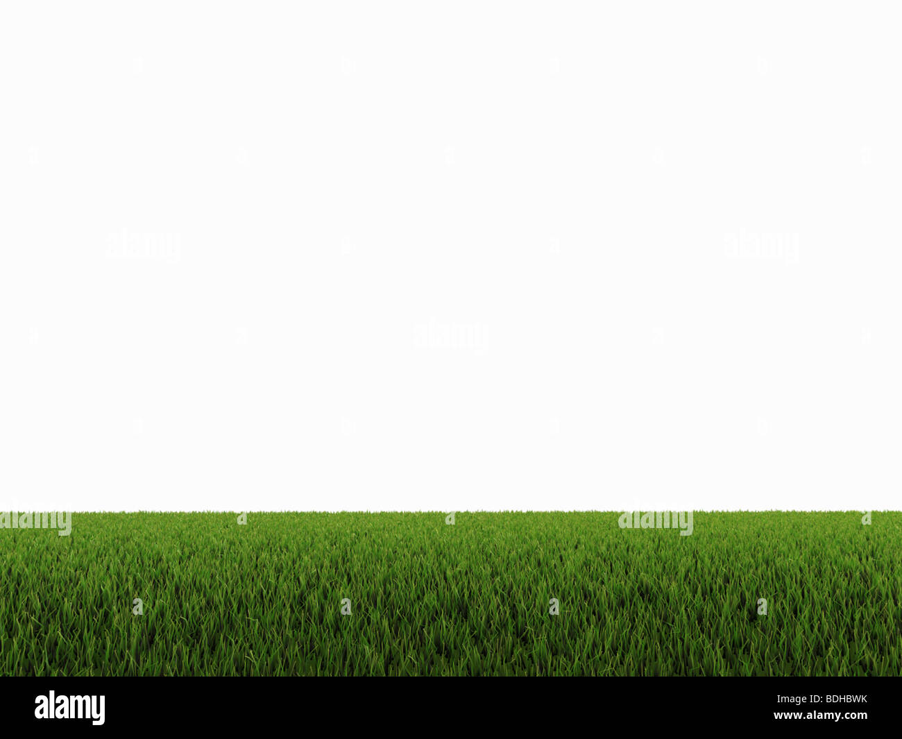 3d rendered of green grass on white background Stock Photo - Alamy