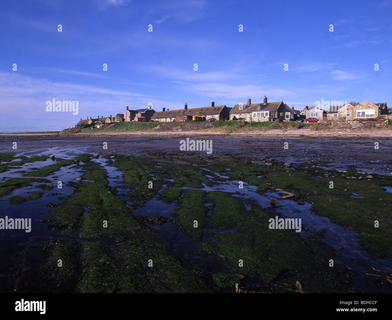 The Northumberland coastal village of Boulmer Stock Photo - Alamy