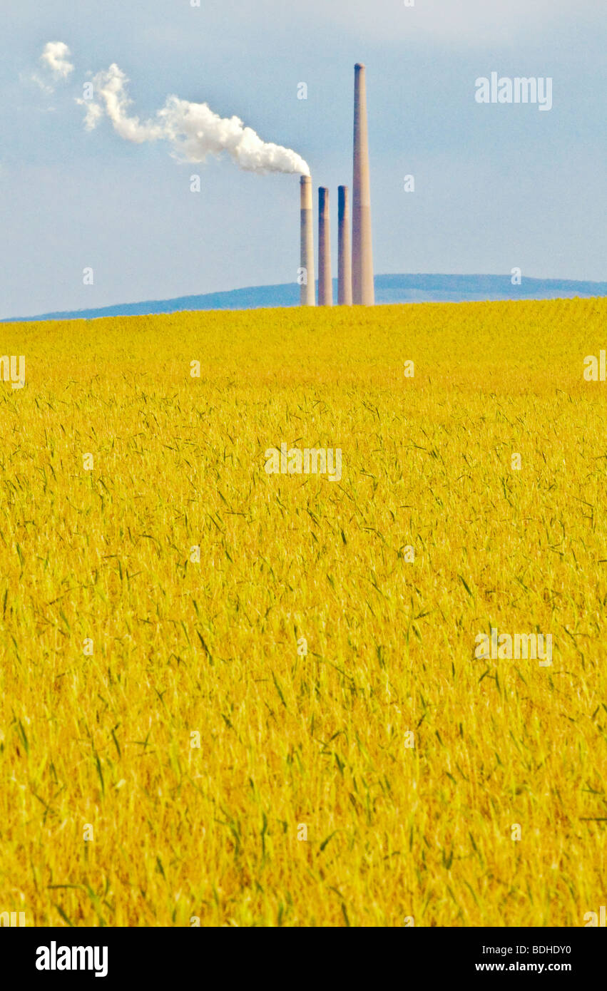 Stacks of wheat hi-res stock photography and images - Alamy