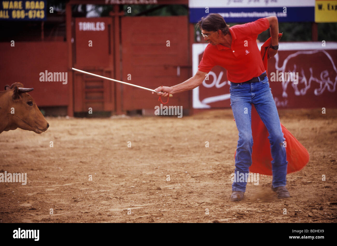 Matador testing a cow for bravery lets her know who is in charge Stock ...