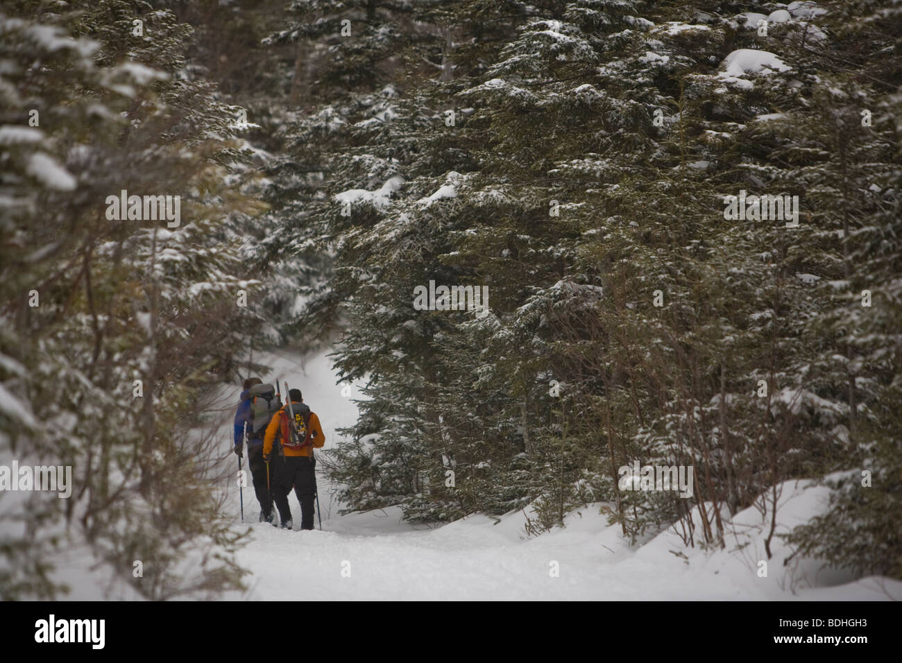 Hikers on the Tuckerman Ravine Trail on Mount Washington in the White ...