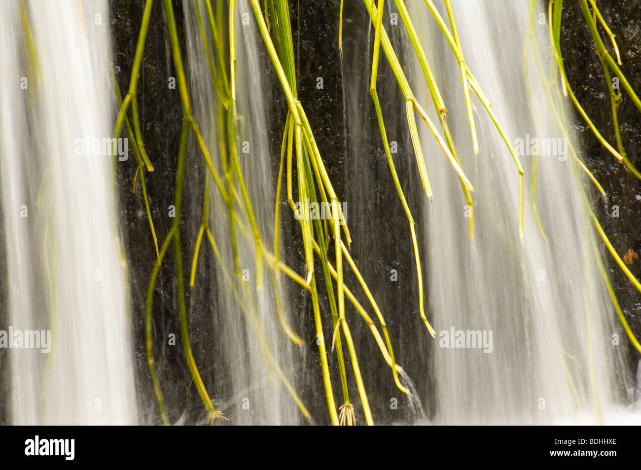 Natural waterfall flowing over small weir Devon UK Stock Photo - Alamy