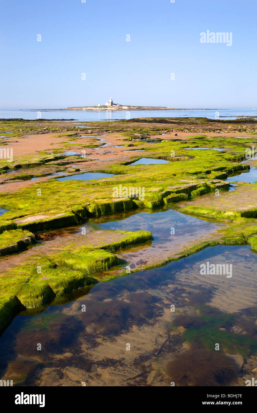 Coquet Island from Hauxley Beach Low Hauxley Amble Northumberland Stock ...