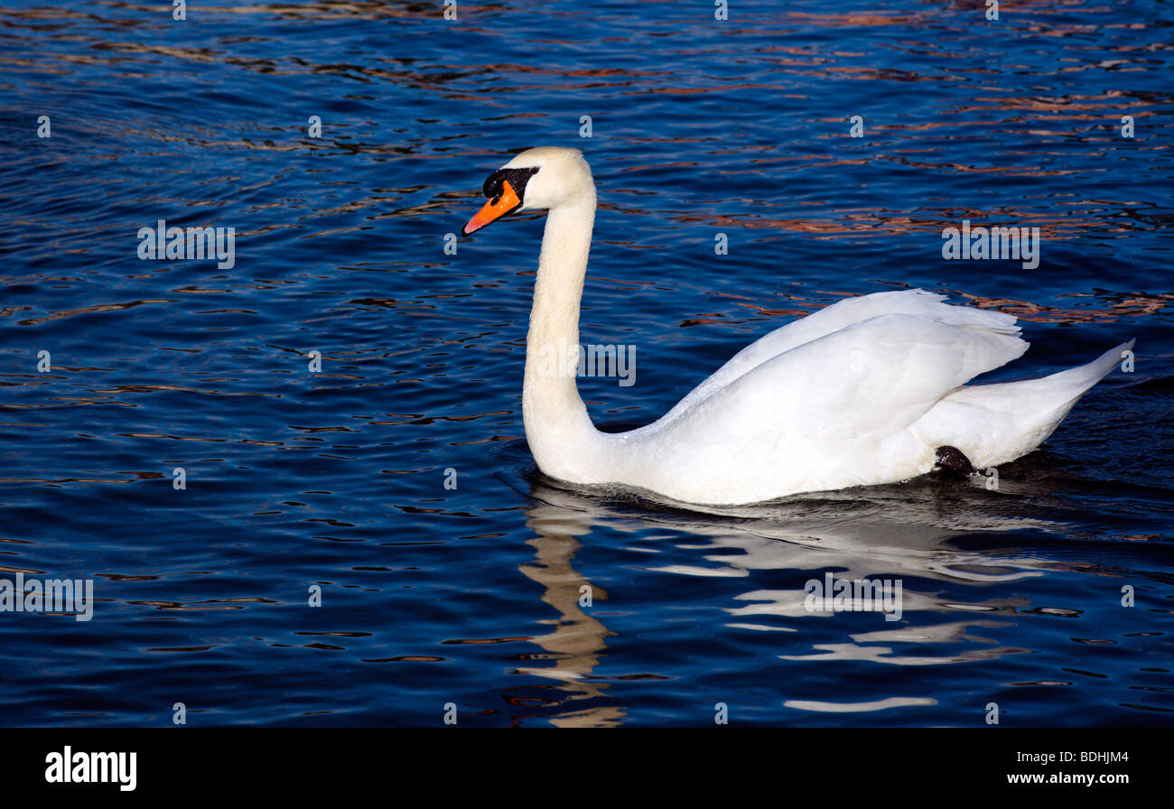 Thames water rivers and streams hi-res stock photography and images - Alamy