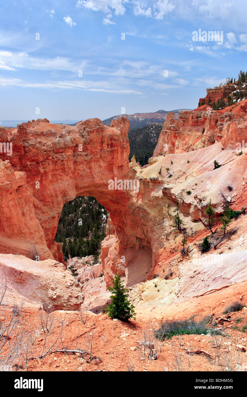 Natural Bridge Bryce Canyon National Park Utah USA Stock Photo - Alamy