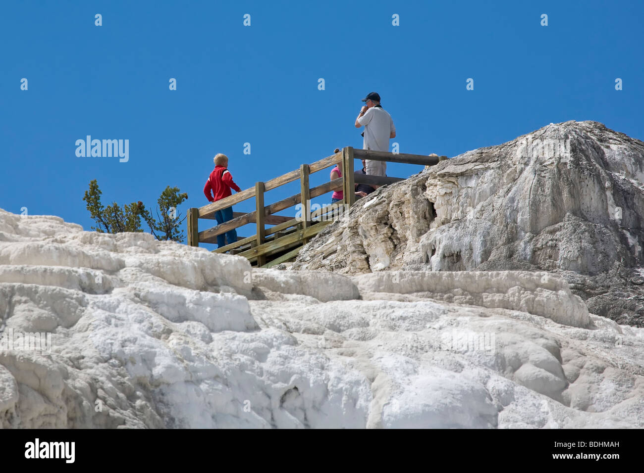 Travertine Terraces in Lower Terraces area at Mammoth Hot Springs in ...