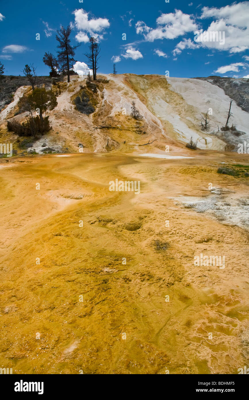Travertine terraces yellowstone hi-res stock photography and images - Alamy