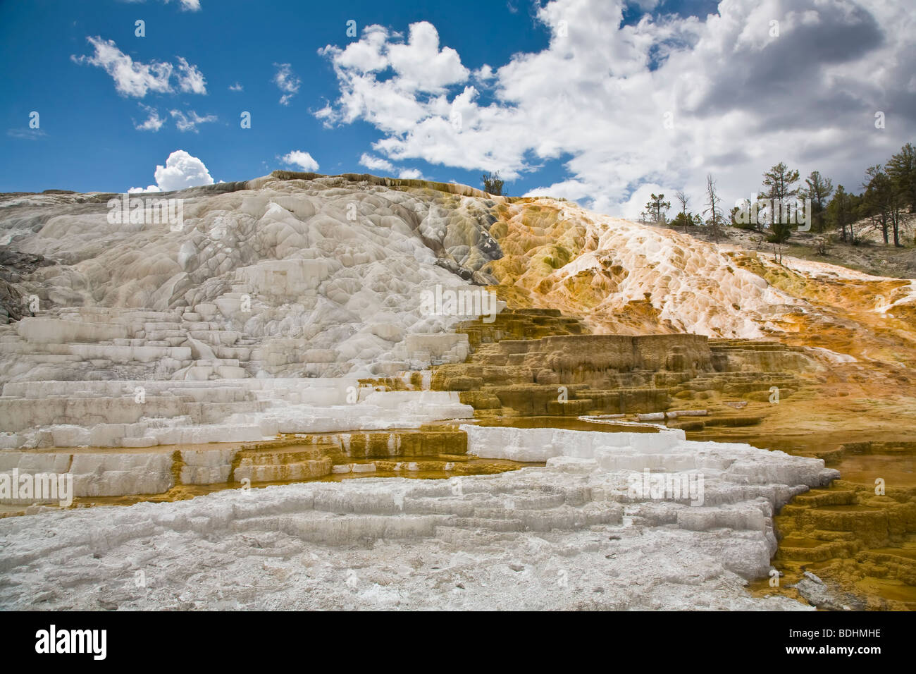 Travertine Terraces in Lower Terraces area at Mammoth Hot Springs in ...