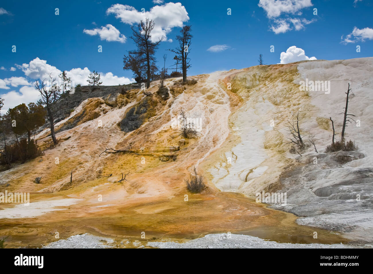 Travertine Terraces in Lower Terraces area at Mammoth Hot Springs in ...