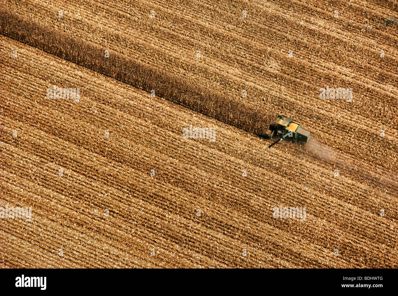 Agriculture - Aerial, grain corn harvesting / Yolo County, California ...