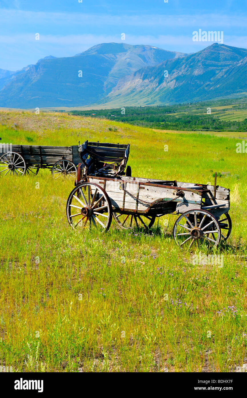 Farm Wagons 09686 Stock Photo - Alamy