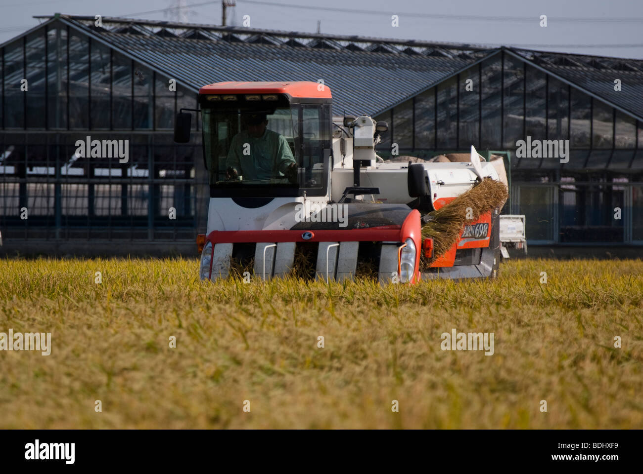 A Japanese rice harvester, with glasshouses in the background, Japan ...