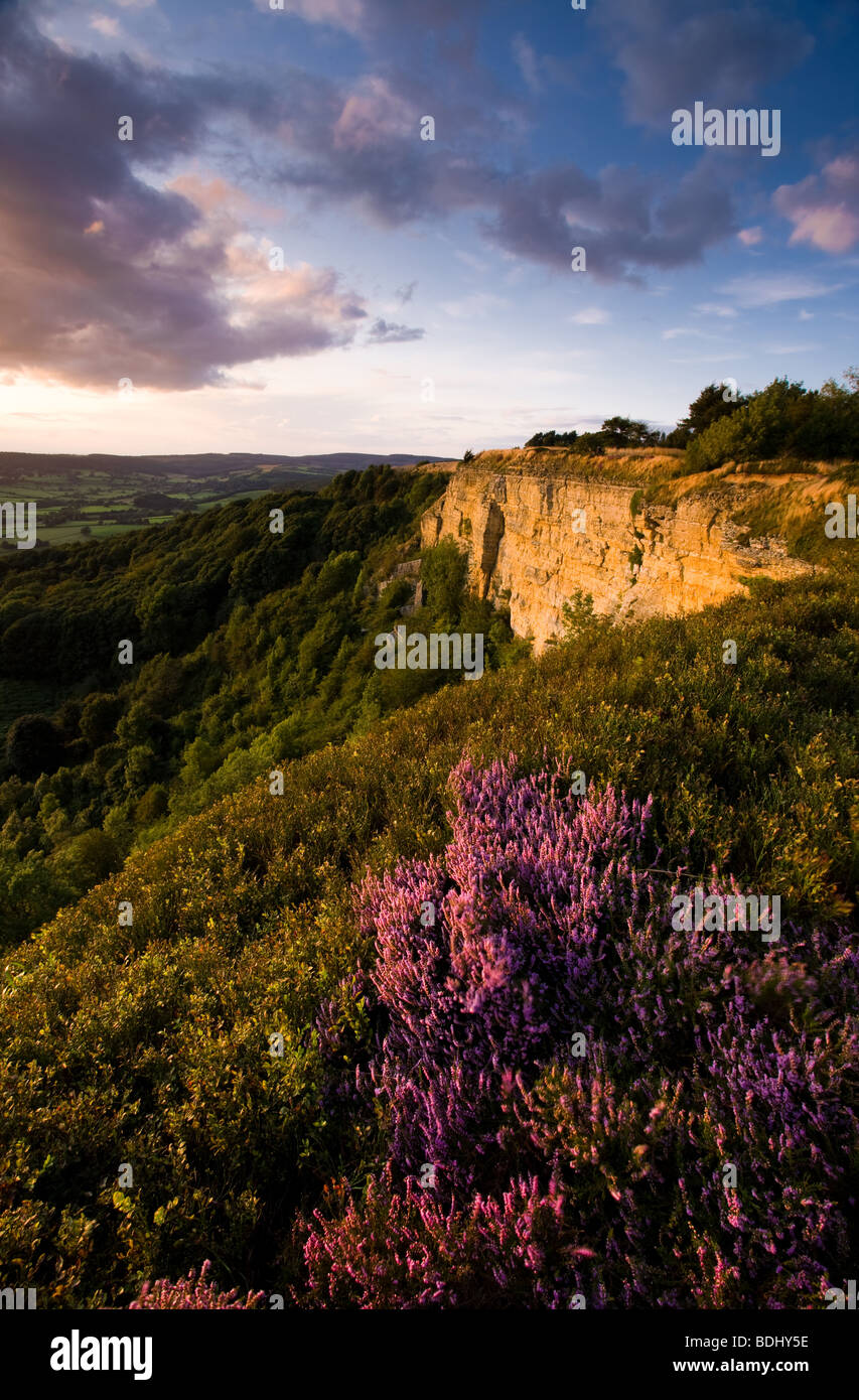 Sutton bank heather hi-res stock photography and images - Alamy