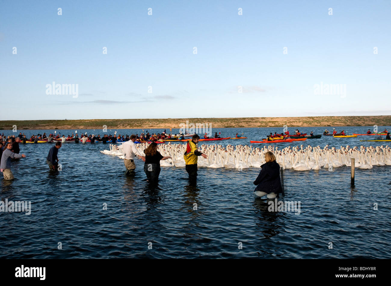 People At The Wading Airprote