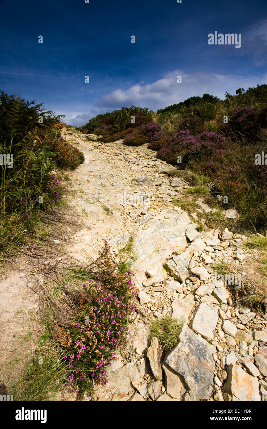 Goathland moor hi-res stock photography and images - Alamy