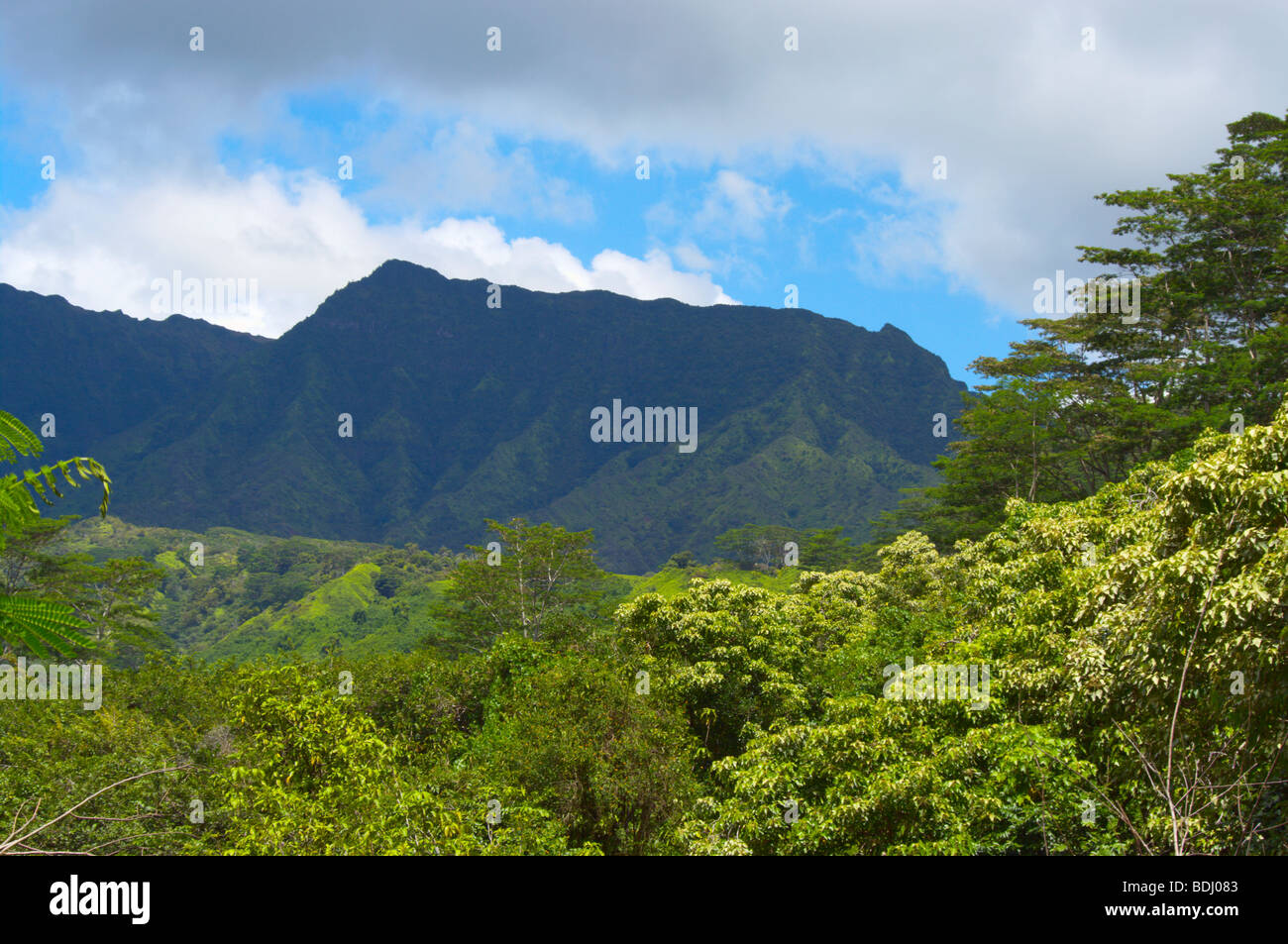Mount Waialeale and Kawaikini Peak from the Kuilau Ridge Trail Kauai HI ...