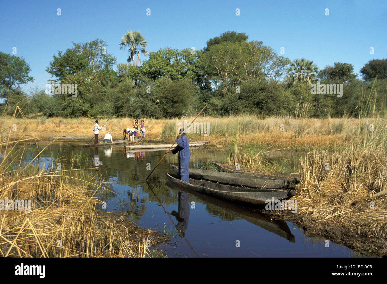 botswana, okawango delta Stock Photo - Alamy