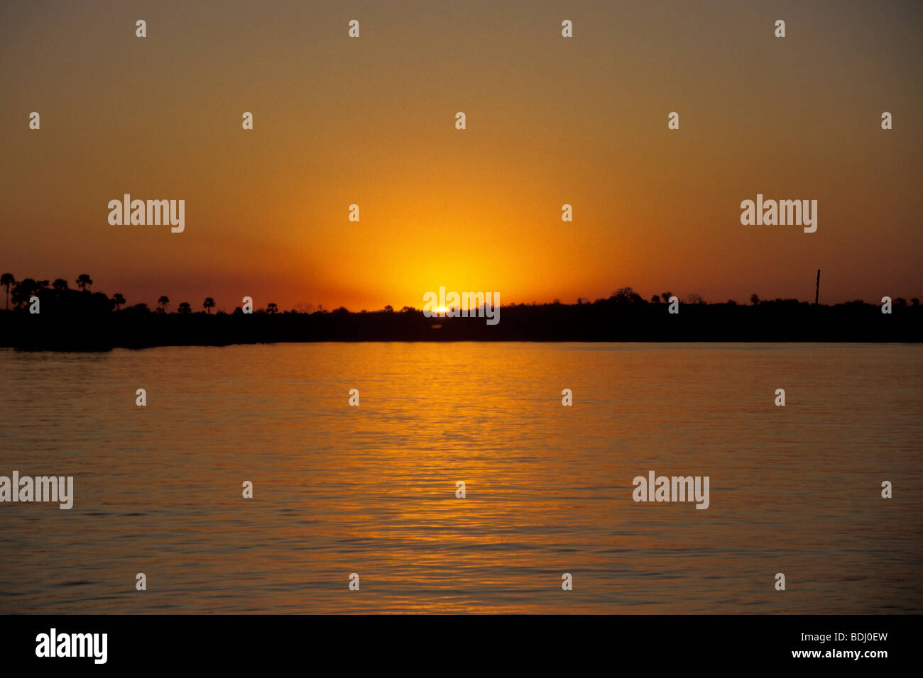 botswana, okawango delta Stock Photo - Alamy