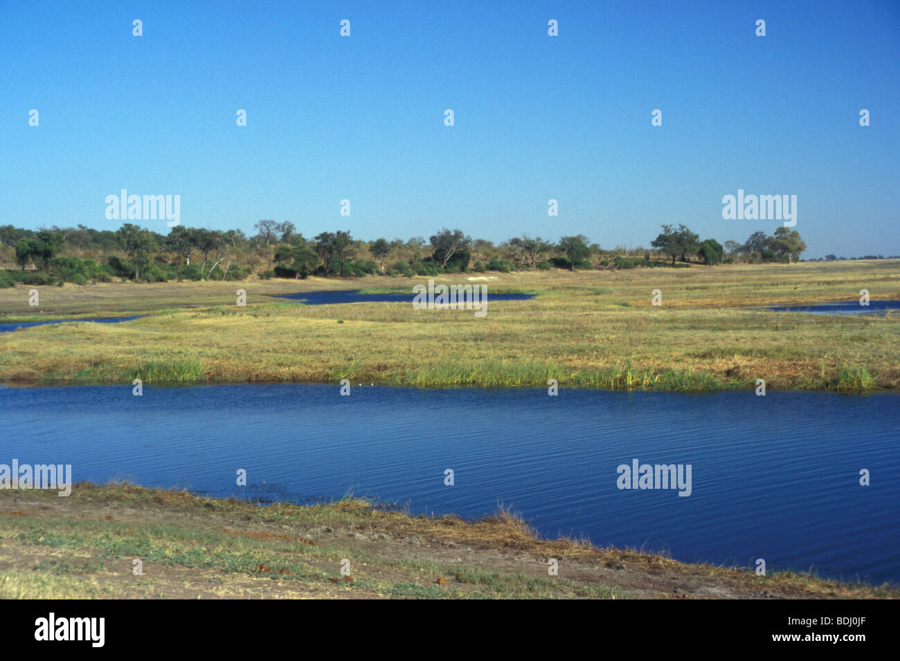 botswana, okawango delta Stock Photo - Alamy