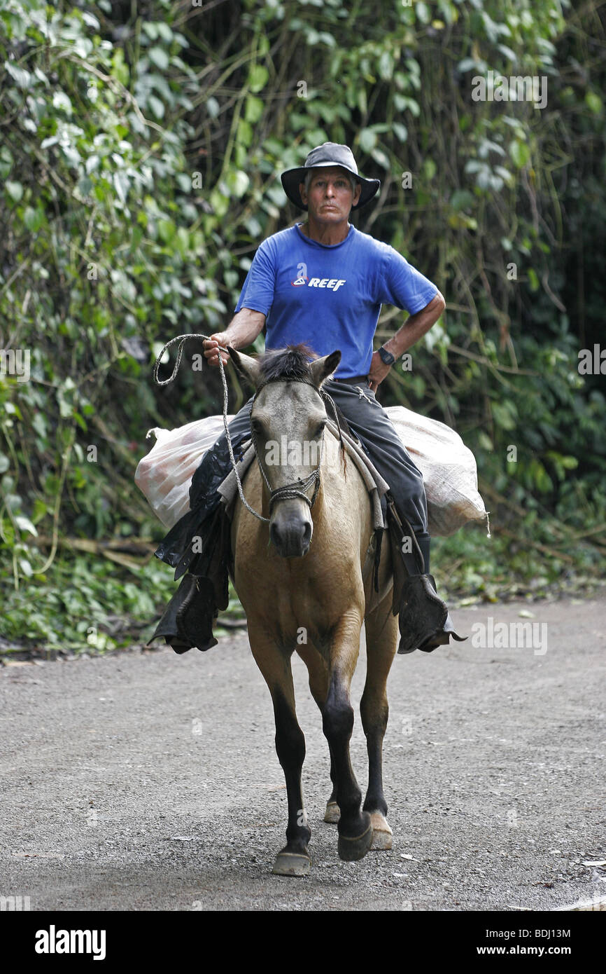 Lone horseman rides horse with supplies in Costa Rica Stock Photo - Alamy