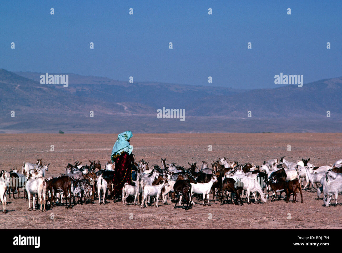 Beduin Woman High Resolution Stock Photography and Images - Alamy