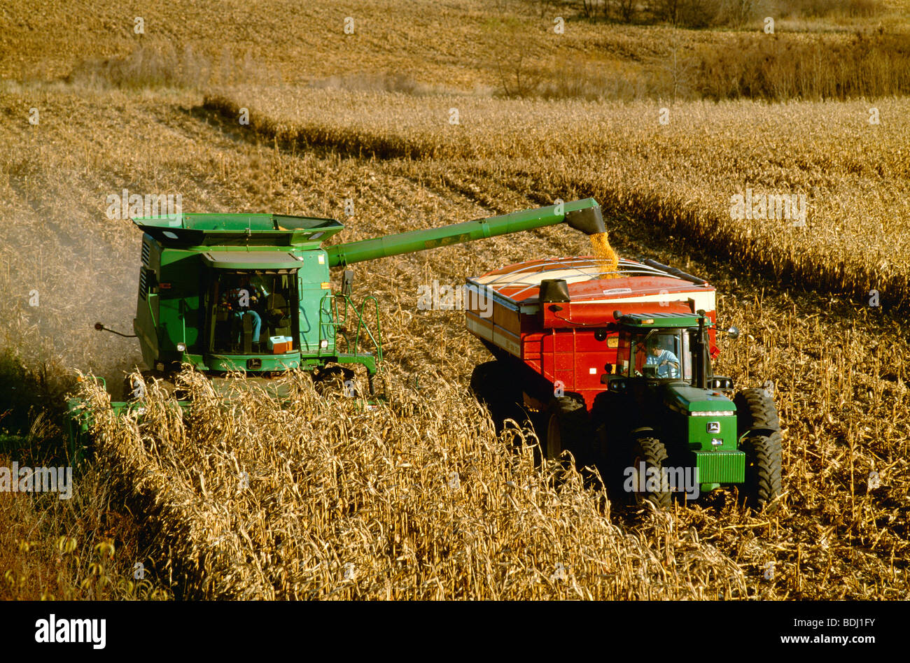 Grain cart cornfield hi-res stock photography and images - Alamy