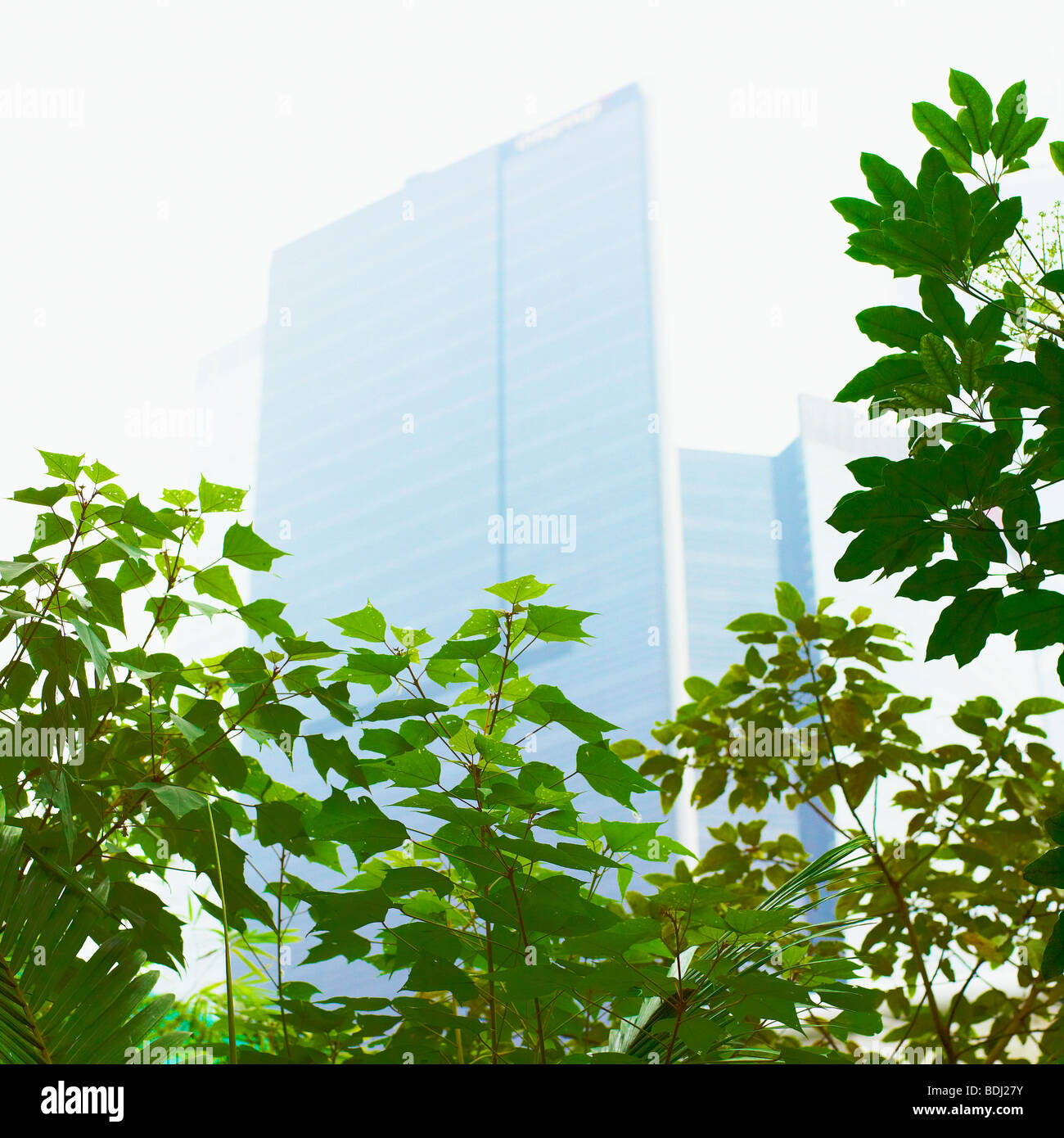 Cityscape with corporate office blocks through tree line Stock Photo ...