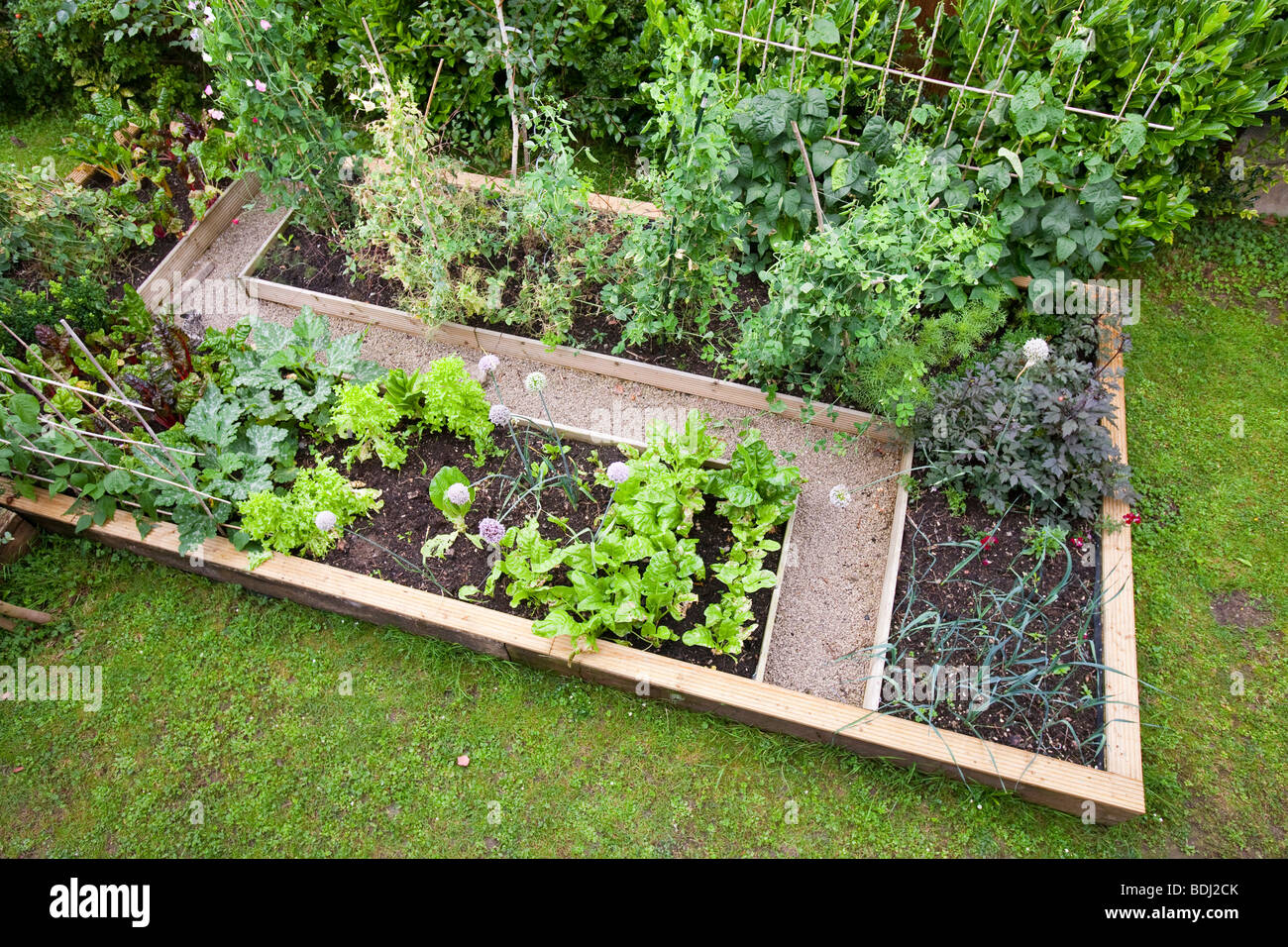 Vegetable plot hi-res stock photography and images - Alamy