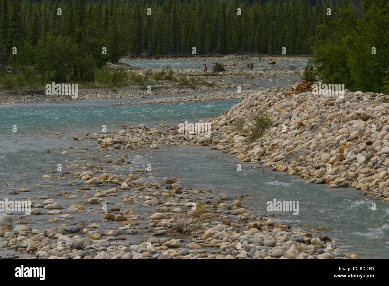 Snaring River, Jasper National Park, Alberta, Canada Stock Photo - Alamy
