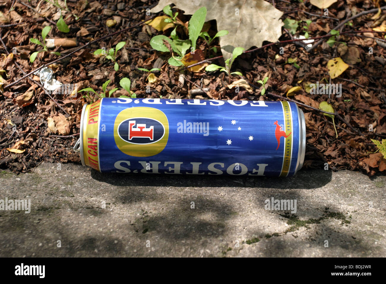 Drinking can of fosters lager hi-res stock photography and images - Alamy
