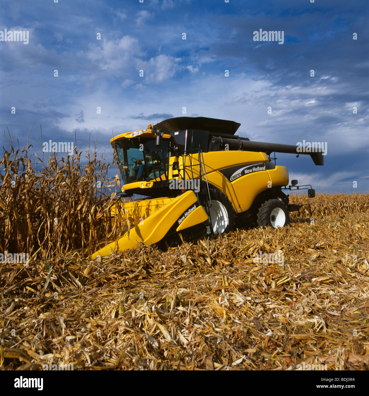 Agriculture - A new New Holland CR combine harvests grain corn in ...